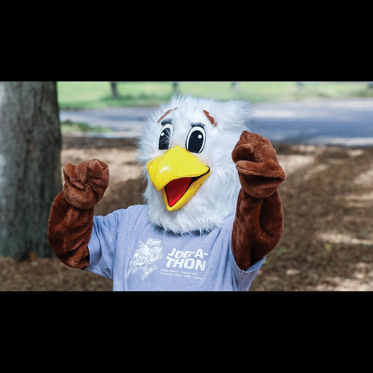 Zionsville Community Schools School Guide 2024